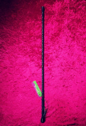 Solid Steel Core Cane | GSpot Adult Variety Store